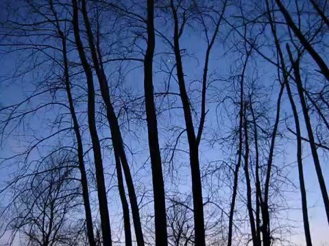 🐦Spring peepers ,birds singing and other amazing nature sounds in the ...