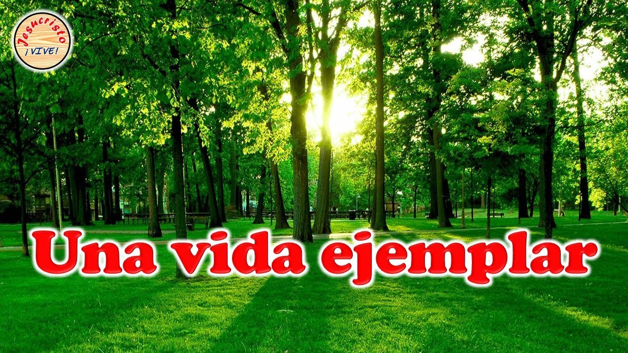Una vida ejemplar - YouTube
