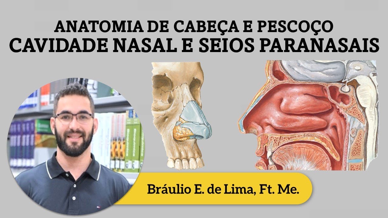 Anatomia de Cabeça e Pescoço – Cavidade Nasal e Seios Paranasais - YouTube