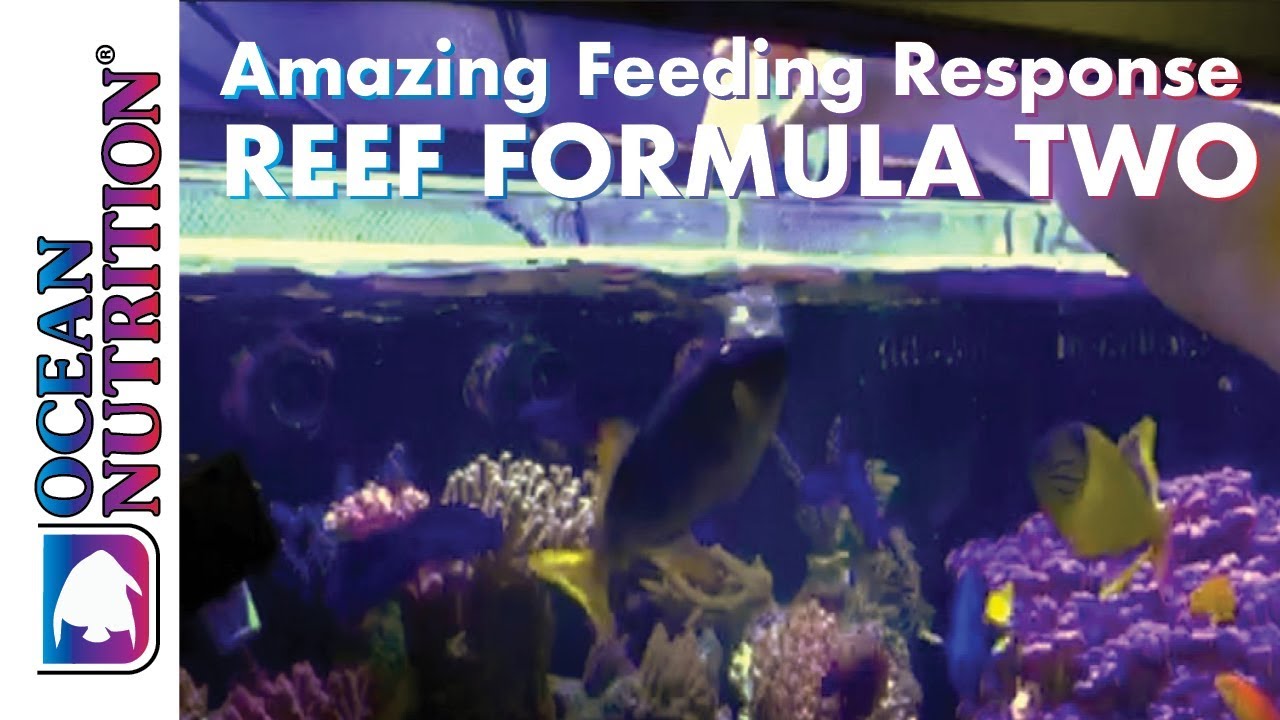 Ocean Nutrition: Reef Formula Two - YouTube