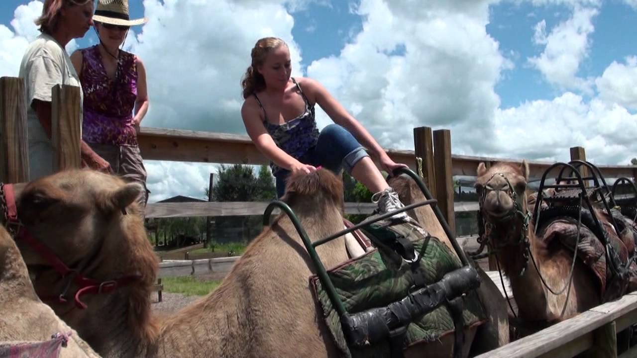 Safari Wilderness Ranch - YouTube