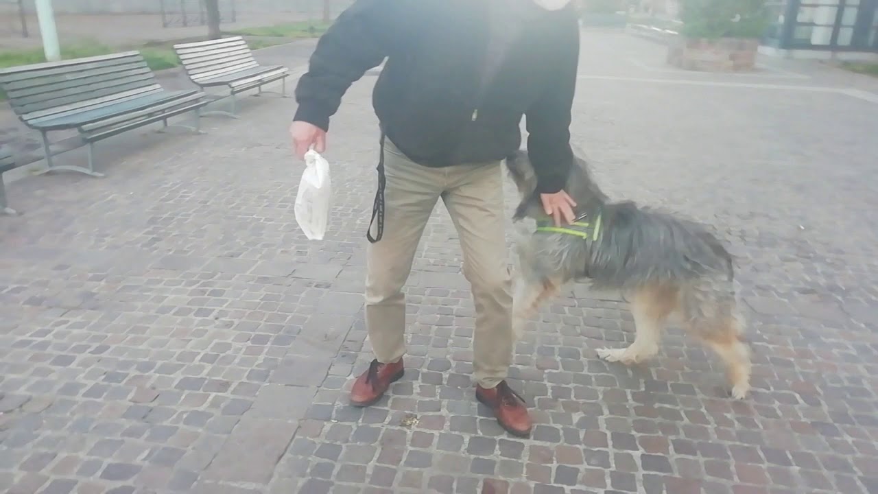 Il mio amico enzo - YouTube