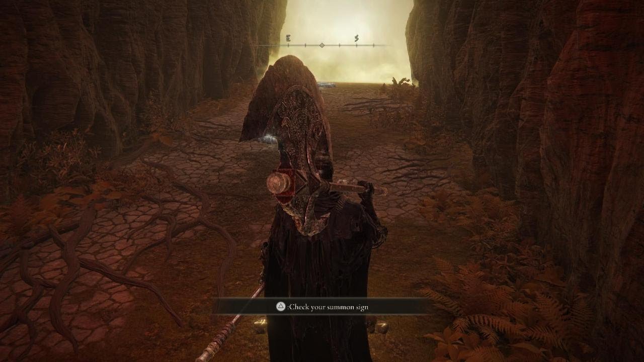 ELDEN RING : Axe of Godfrey (endgame) co-op - YouTube