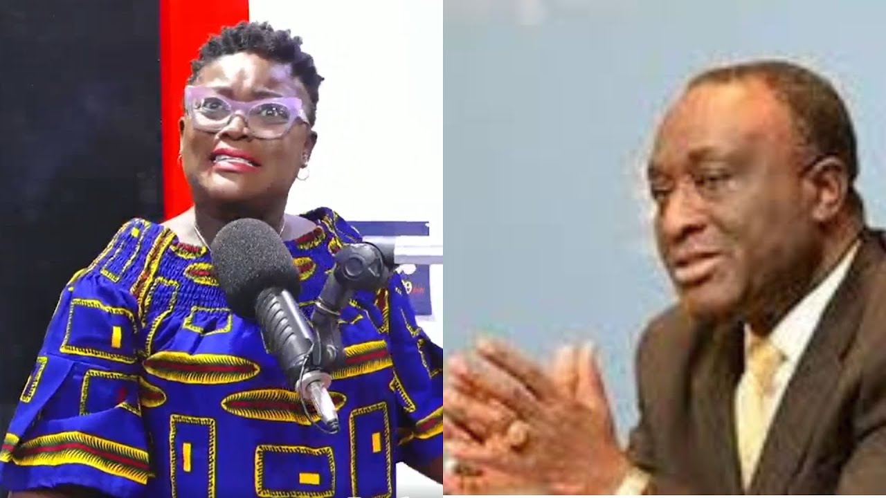 Nana Yaa Fires Alan; What Kind Of A Stupid Country Is This,Stop Ur ...