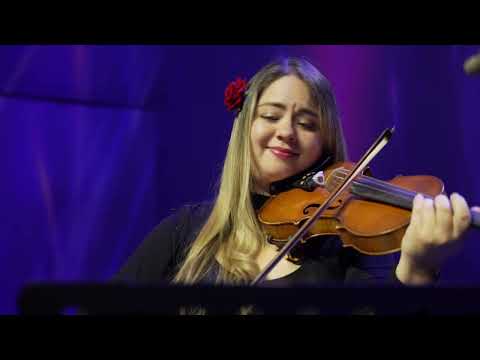 Latin String Quartet Night | Live at TODA Dubai