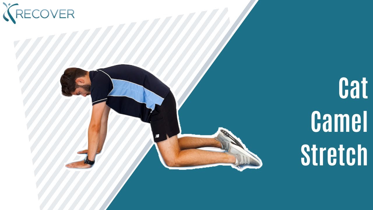 Exercise Guide - Cat Camel - YouTube