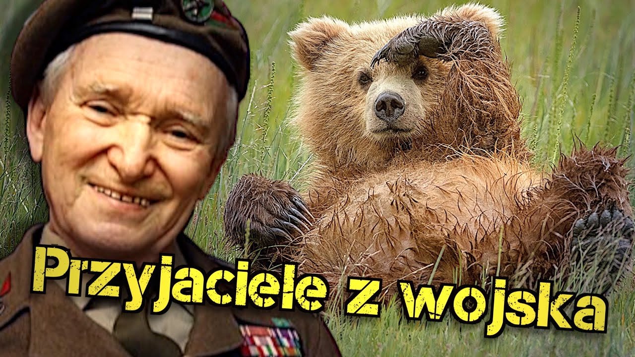 Niedźwiedź Wojtek i jego walka o wolną Polskę. Niezwykły żołnierz Armii ...