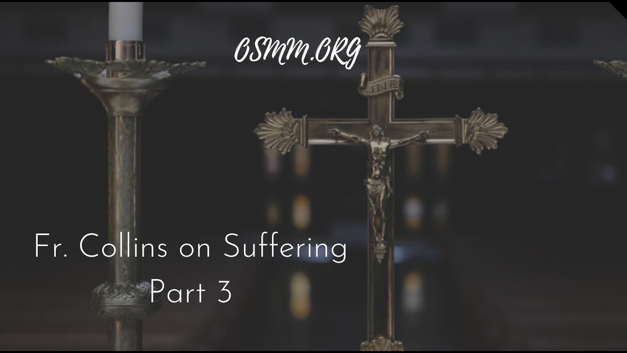 Father Shannon Collins on Suffering - Part 3 of 4 - Our Sorrowful ...