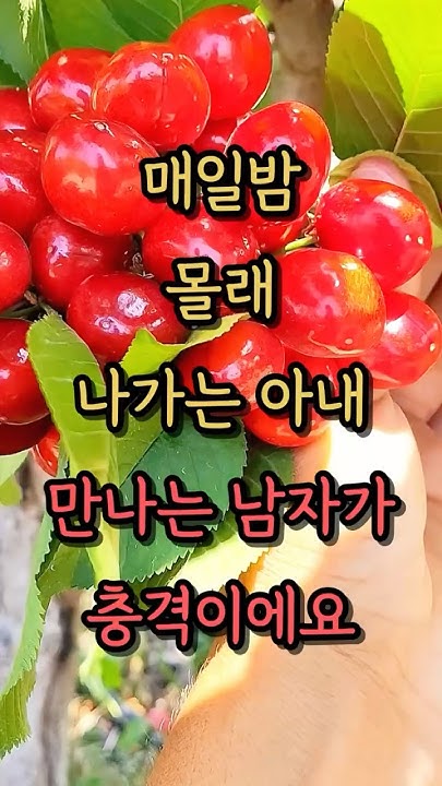 매일 밤 몰래 나가는 아내 만나는 남자가 충격이에요 Youtube