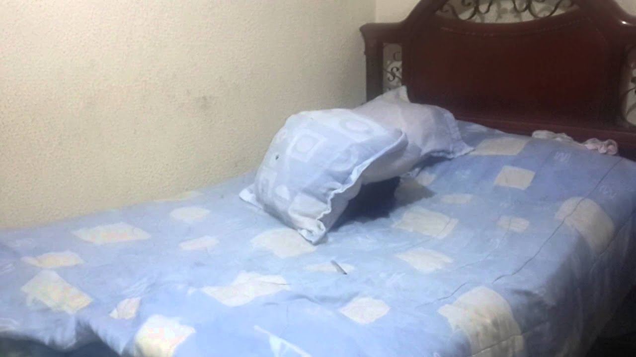 LA pelea con la almuada jajajaj - YouTube
