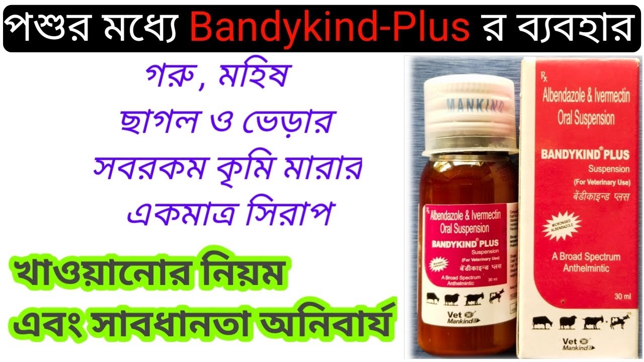 পশুর মধ্যে Bandykind-Plus র ব্যবহার।Albendazole & Ivermectin use in ...