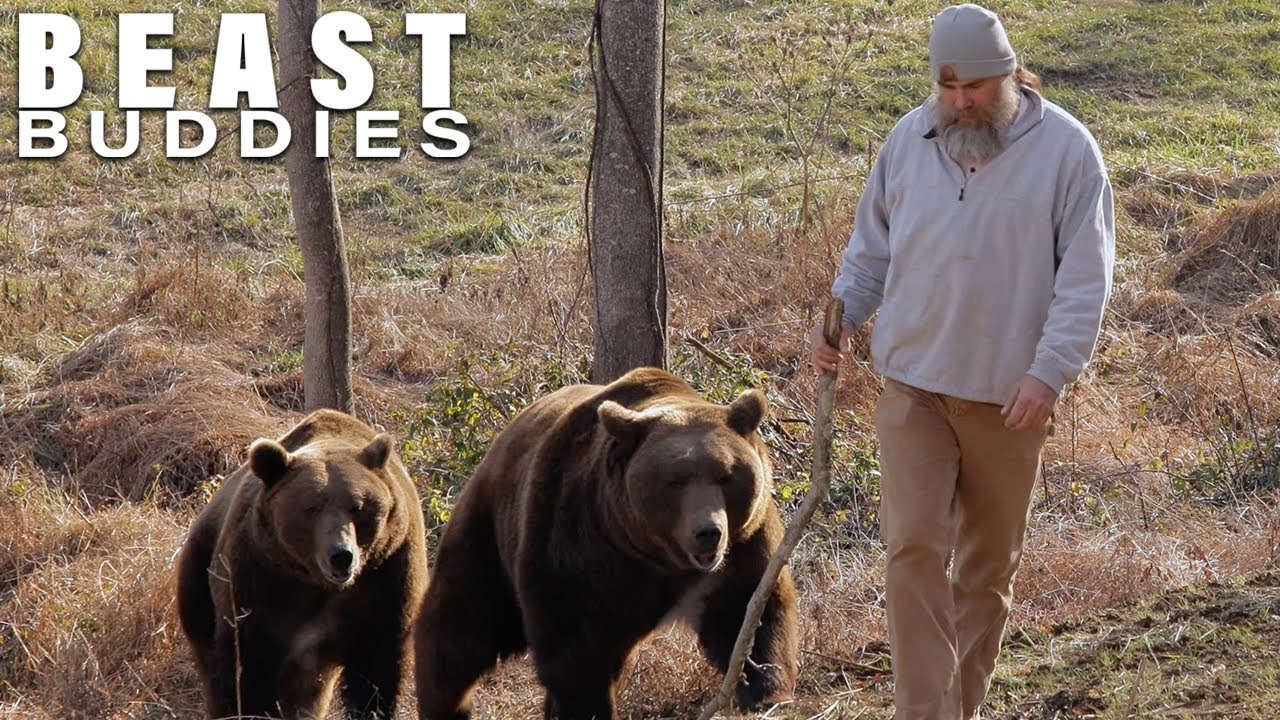 I Raised Two Huge Grizzly Bears | BEAST BUDDIES - YouTube