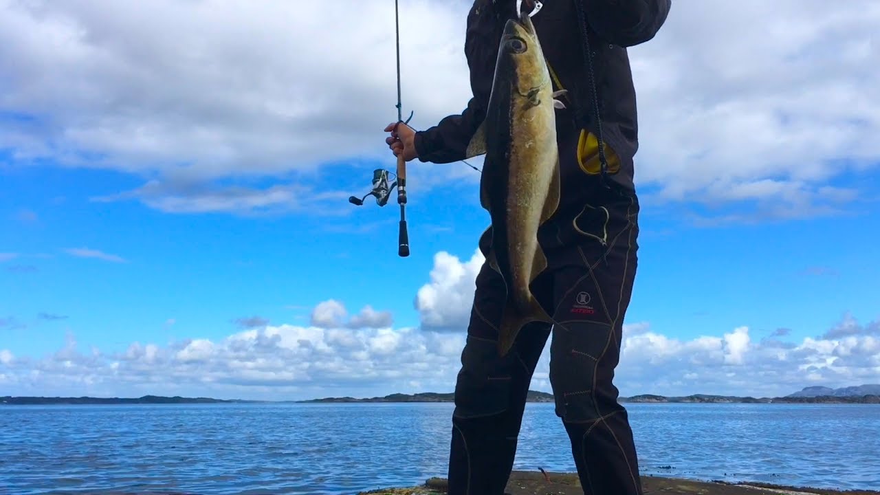 17-36. Pollack fishing in Ramsøy, Norway - YouTube
