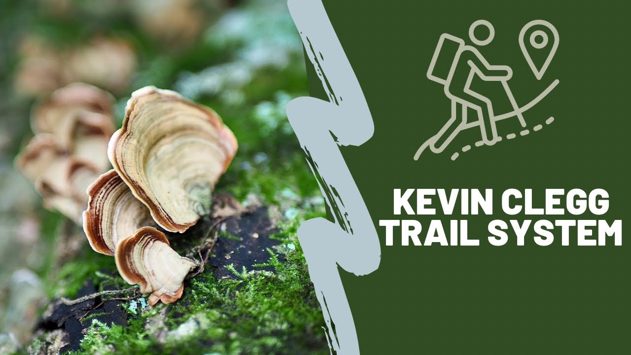Hiking With Huskies- Kevin Clegg Trail System ~ Ravenswood, WV - YouTube