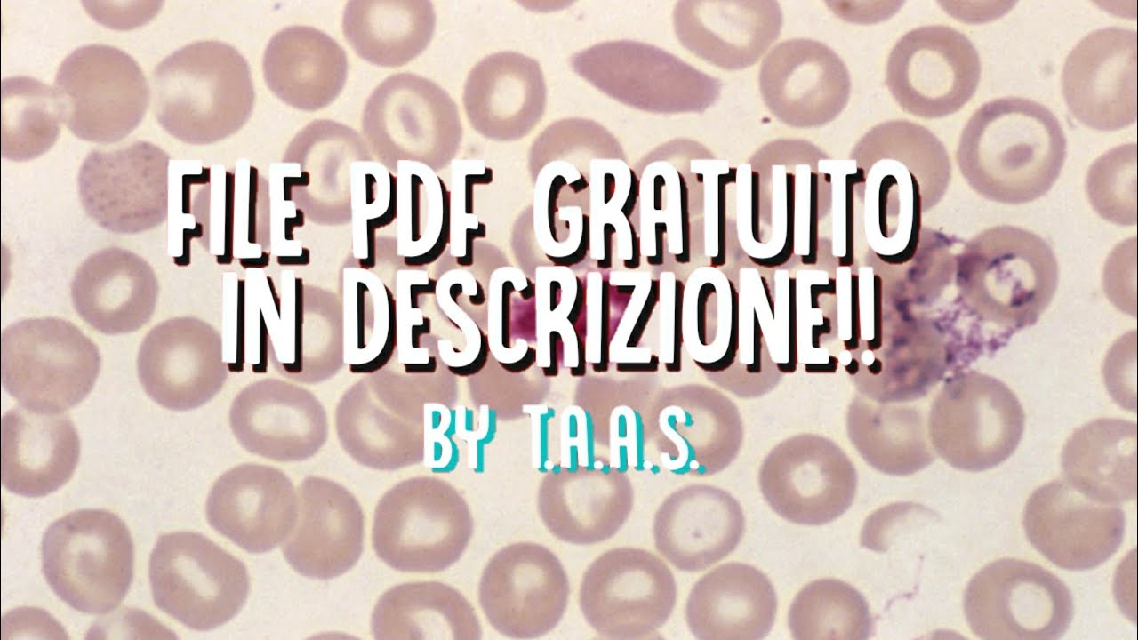 le piastrine o trombociti in 1 minuto [file PDF in descrizione] - YouTube