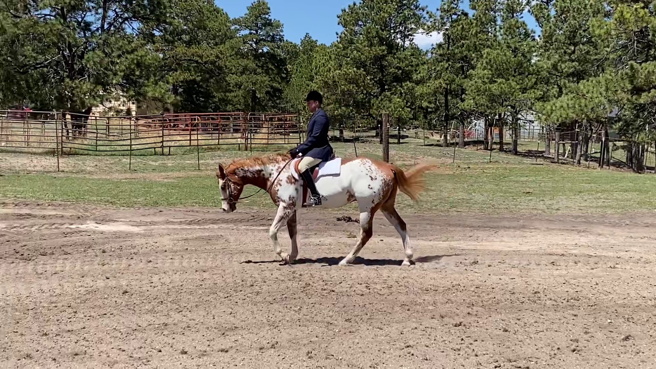 Jason Archuleta HUS 5/1/2020 - YouTube