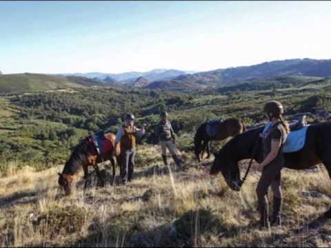 Wildpferde und Wölfe in Portugal - Perlenfaenger.com - Naturreisen ...