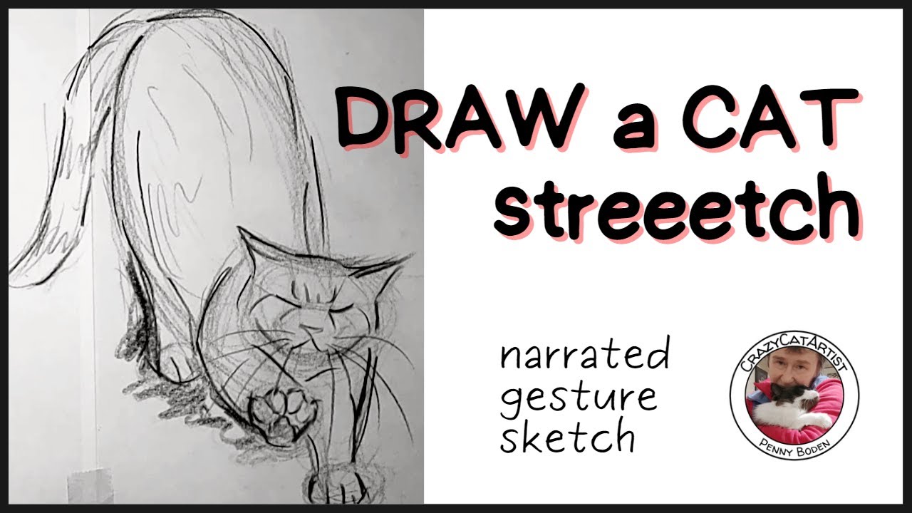 How to Draw a Cat Stretching, simple gesture sketch tutorial narrated for beginner artist & up ...