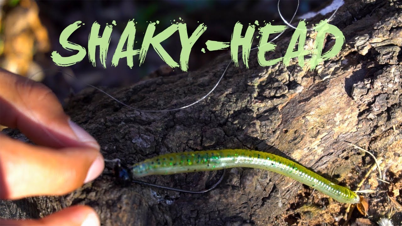 SHAKY-HEAD | Una ALTERNATIVA con muchas POSIBILIDADES - YouTube