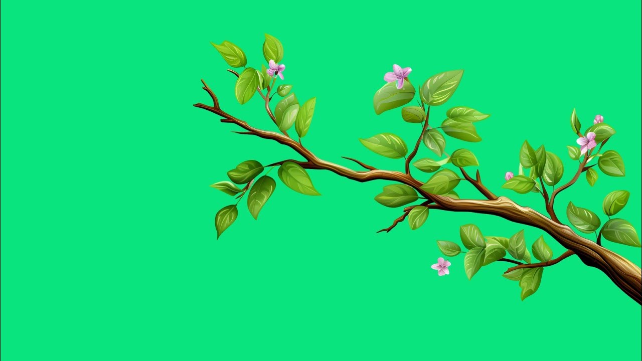 Tree branch with leaves green screen video editing | green screen video ...