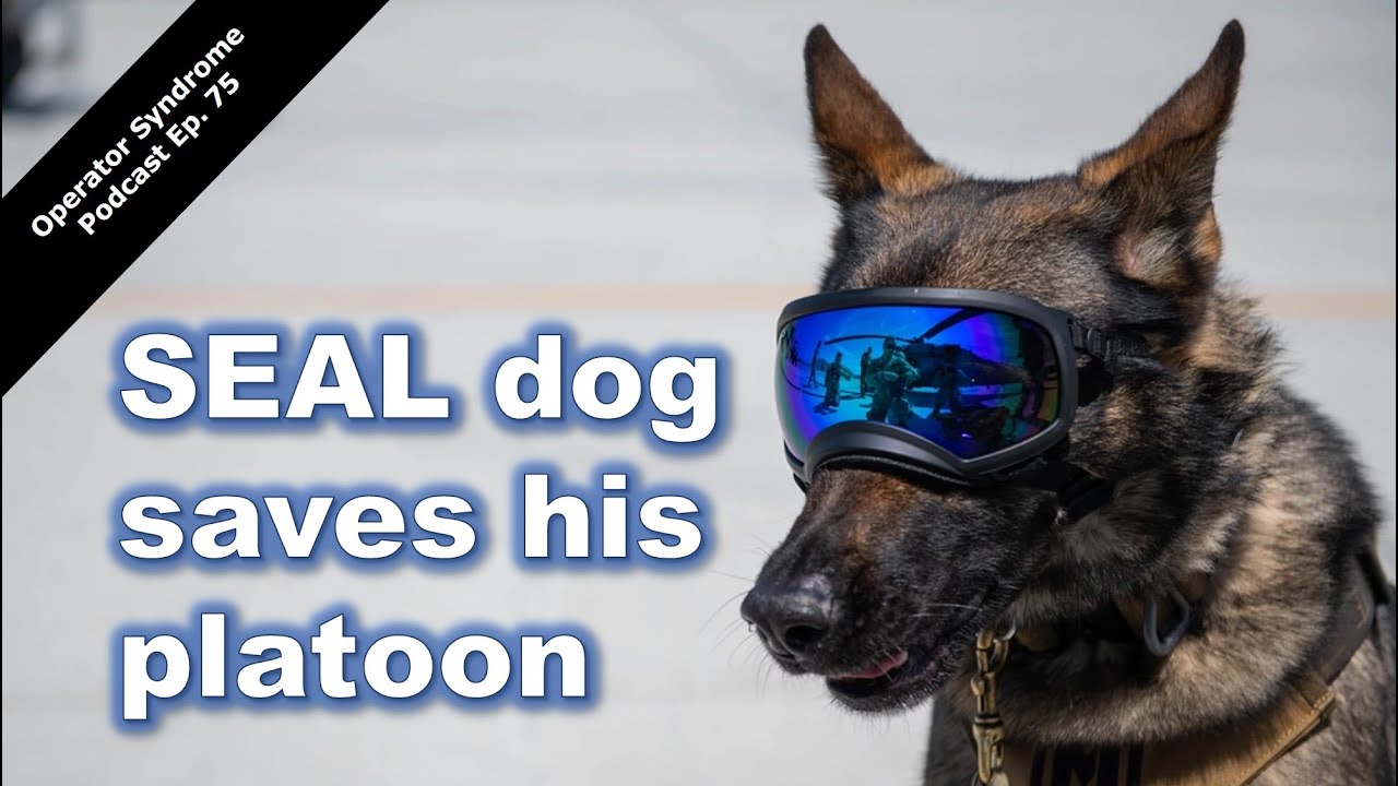 Story of a Navy SEAL working dog | Operator Syndrome | Ep. 75 - YouTube
