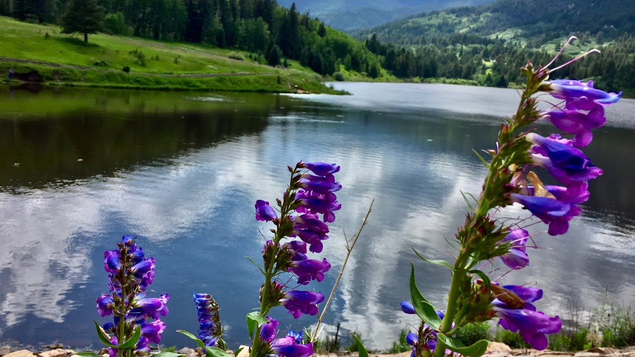 San Isabel Lake, Rye, Colorado - YouTube