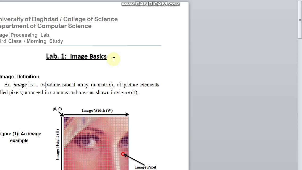 Lab. 1 Image Basics - YouTube