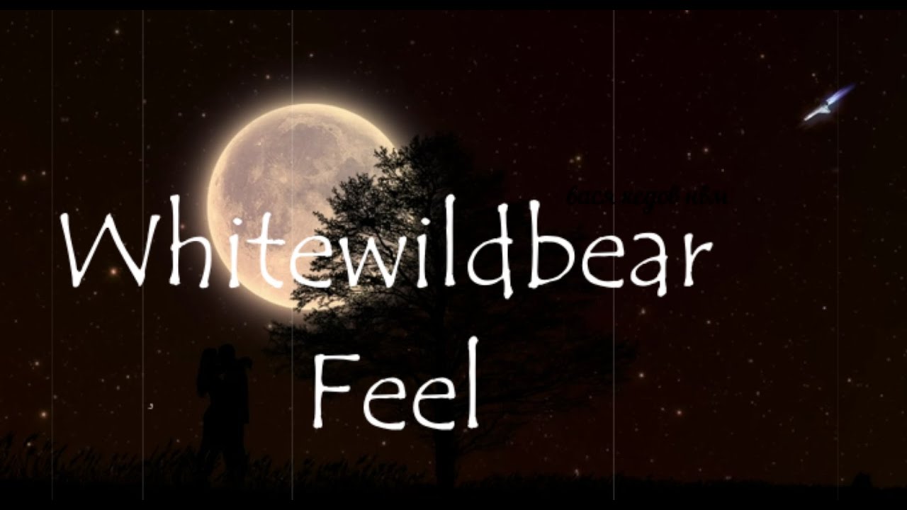 Whitewildbear - Feel - YouTube