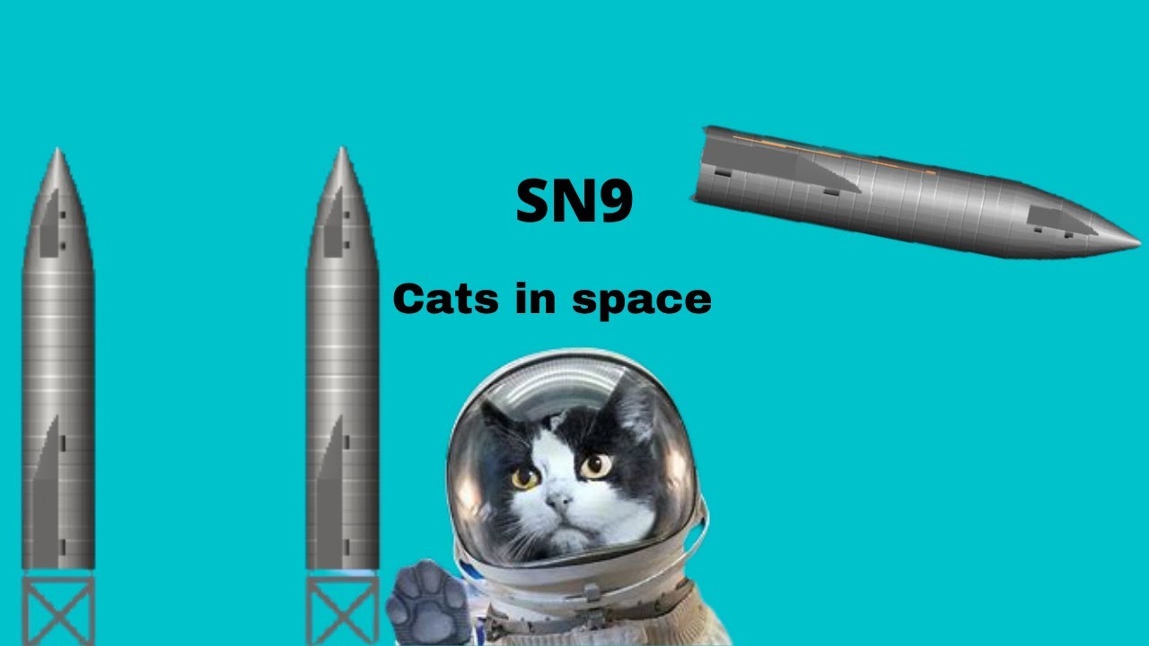 SN9 Launch and Explosion - YouTube