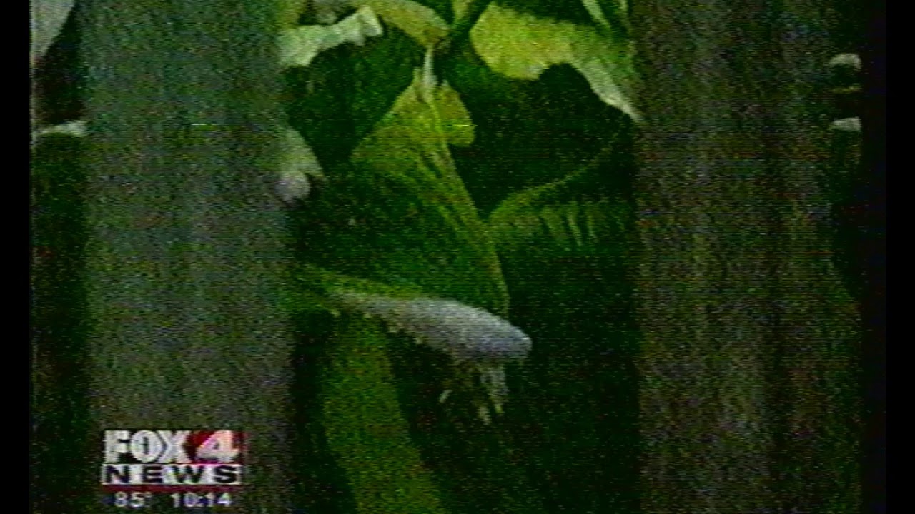 WDAF-TV, Ch. 4, Kansas City, MO, 9PM Talent Open & Story About Plymouth ...