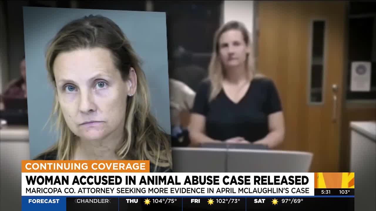 Woman accused in Chandler animal abuse case released - YouTube