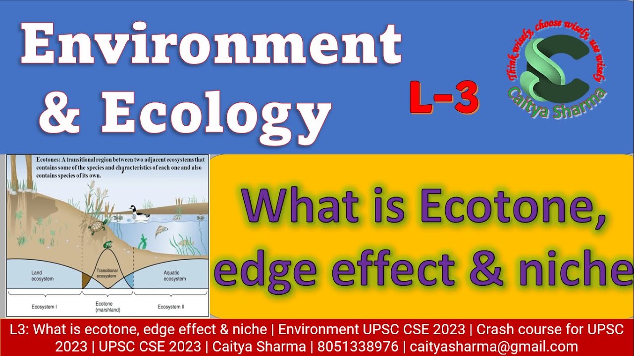 L3: What is Ecotone & Niche | Environment UPSC CSE 2023 | Crash course ...