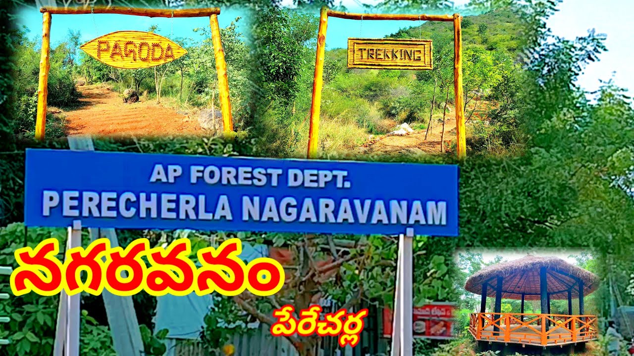 NagaraVanam Perecherla Guntur @pagoda @Trecking.. - YouTube