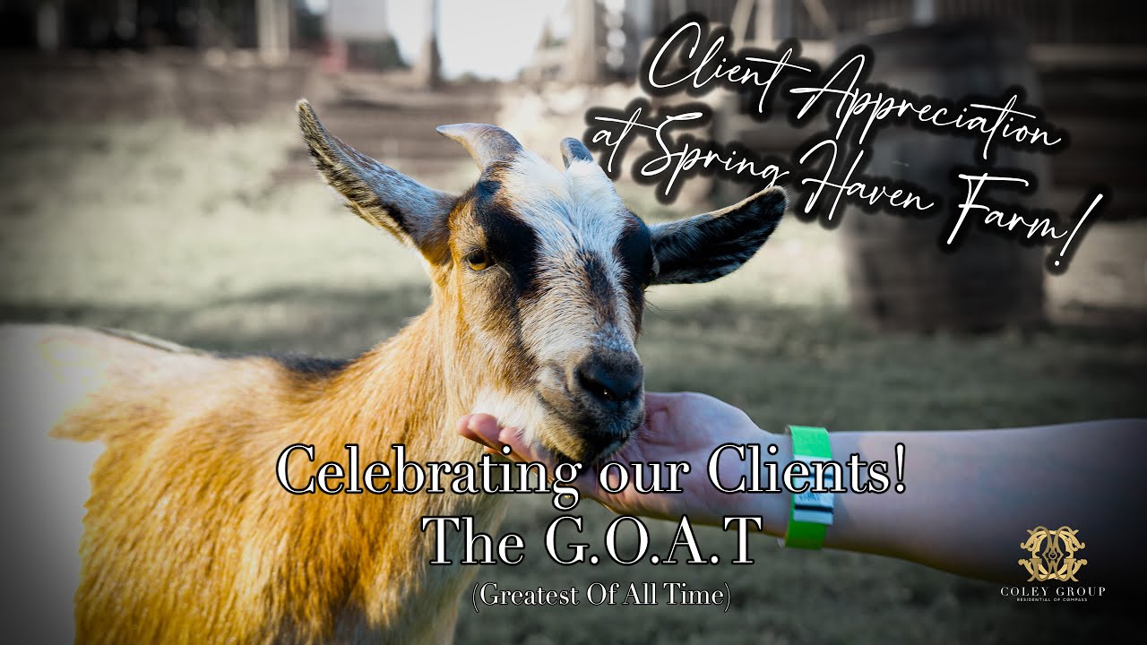 Celebrating our wonderful clients - Client Appreciation Event at Spring ...