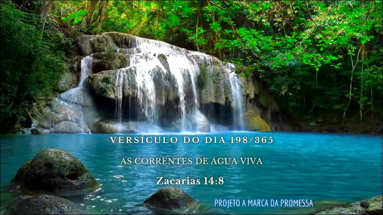 Zacarias 14:8 - Versículo do DIA – 17/07/2023 - As correntes de água ...