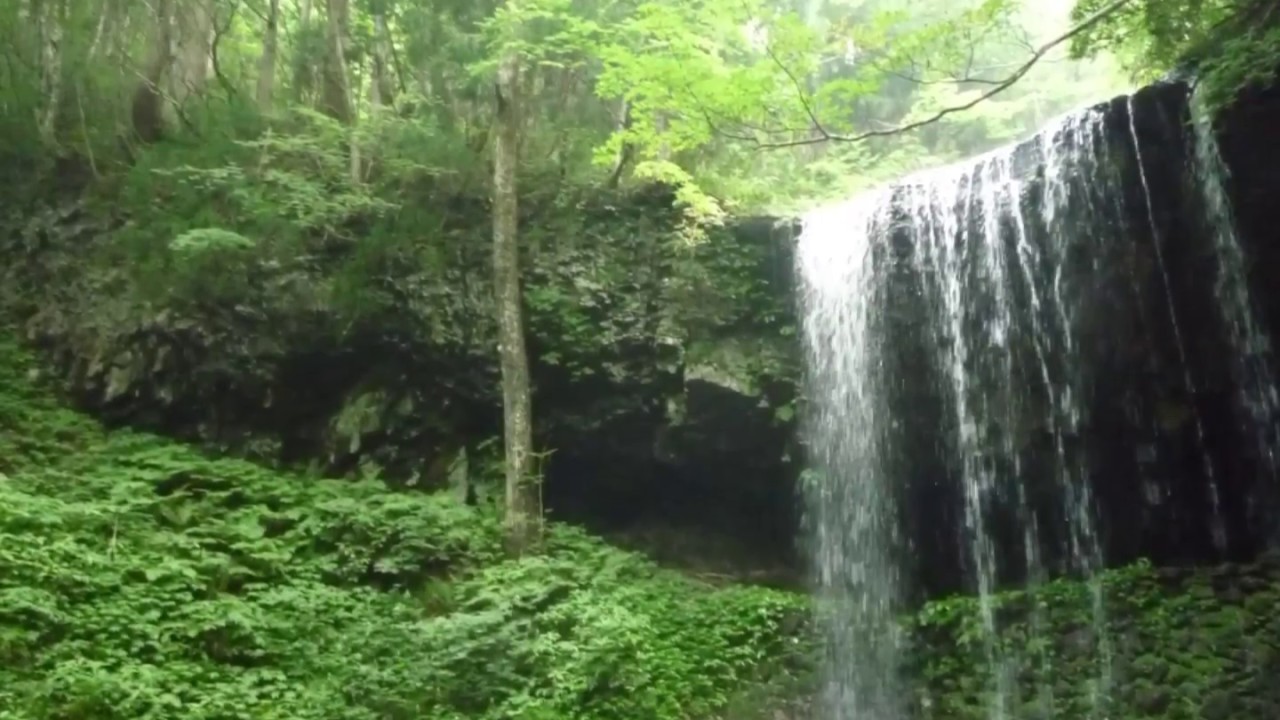 Saxophone therapy in the forest No6 - YouTube