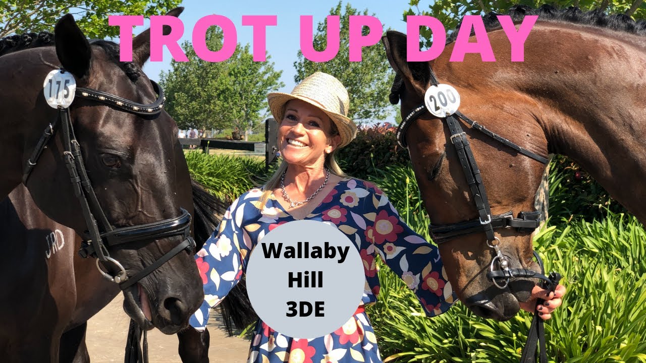 TROT UP IN A DRESS!! Wallaby Hill 3DE - YouTube
