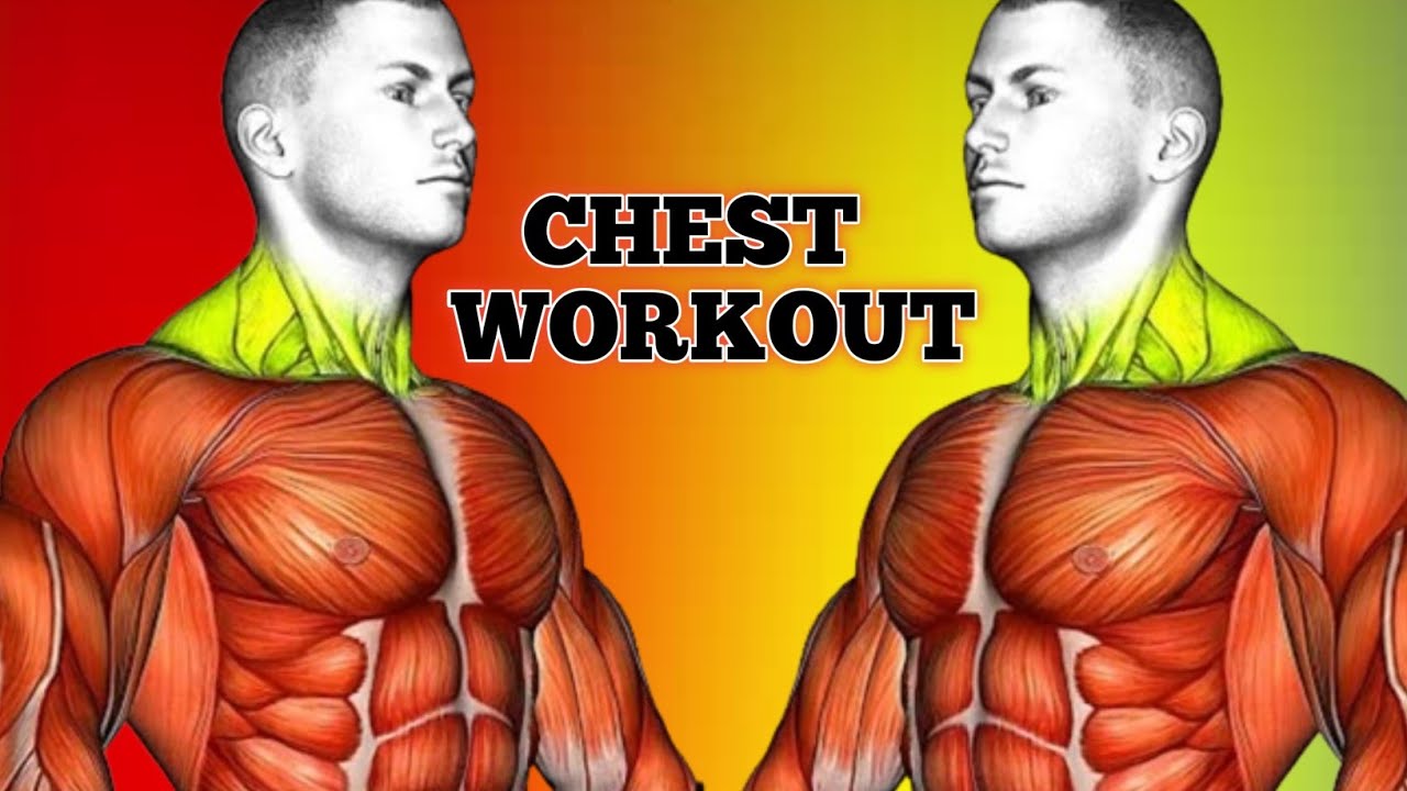 CHEST WORKOUT || Chest workout for Everyday Without Equipment - YouTube