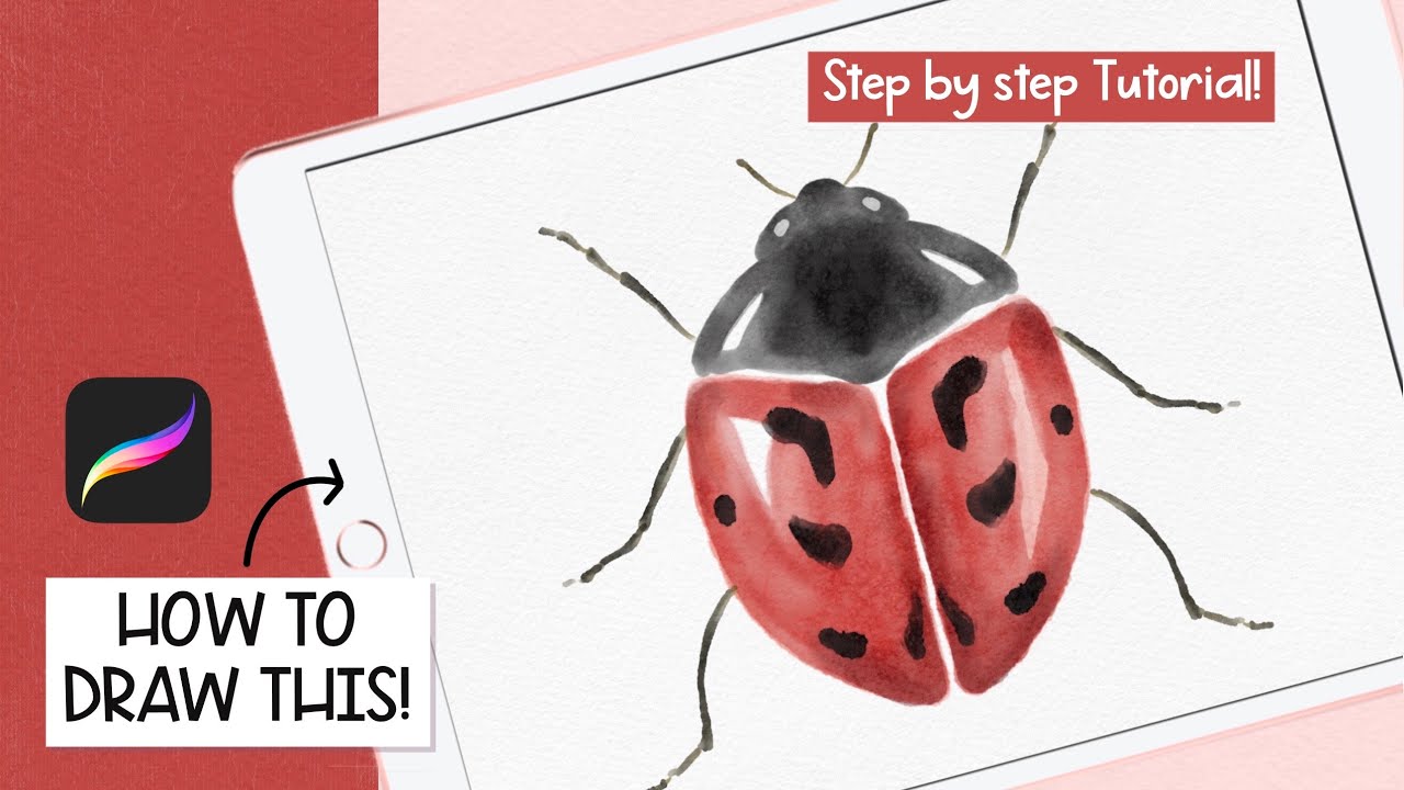 How to draw this - Watercolour Ladybird illustration - YouTube