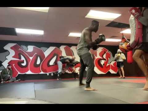 Bulldog boxing - YouTube