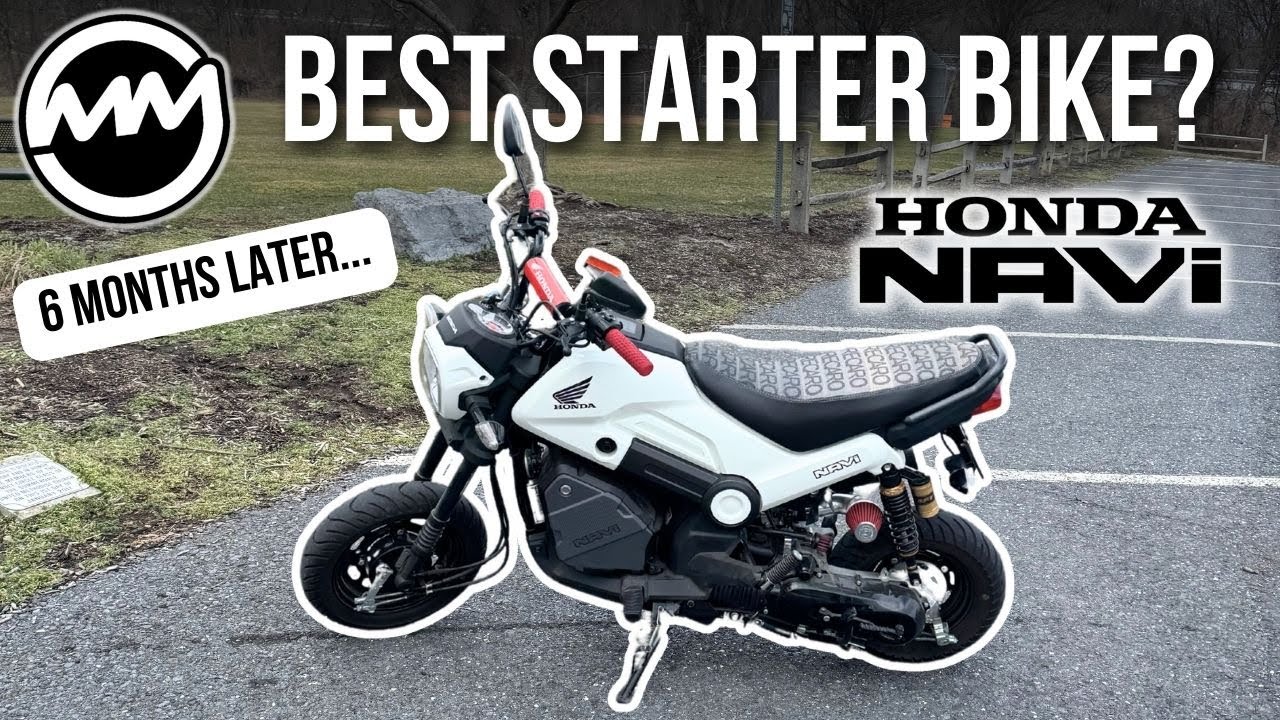 6 Months With The Honda Navi Mini-Moto...Best Starter Bike? - YouTube