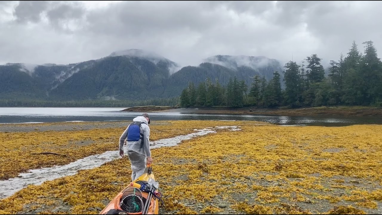 SE Alaska trip - Helm Bay USFS cabin - YouTube