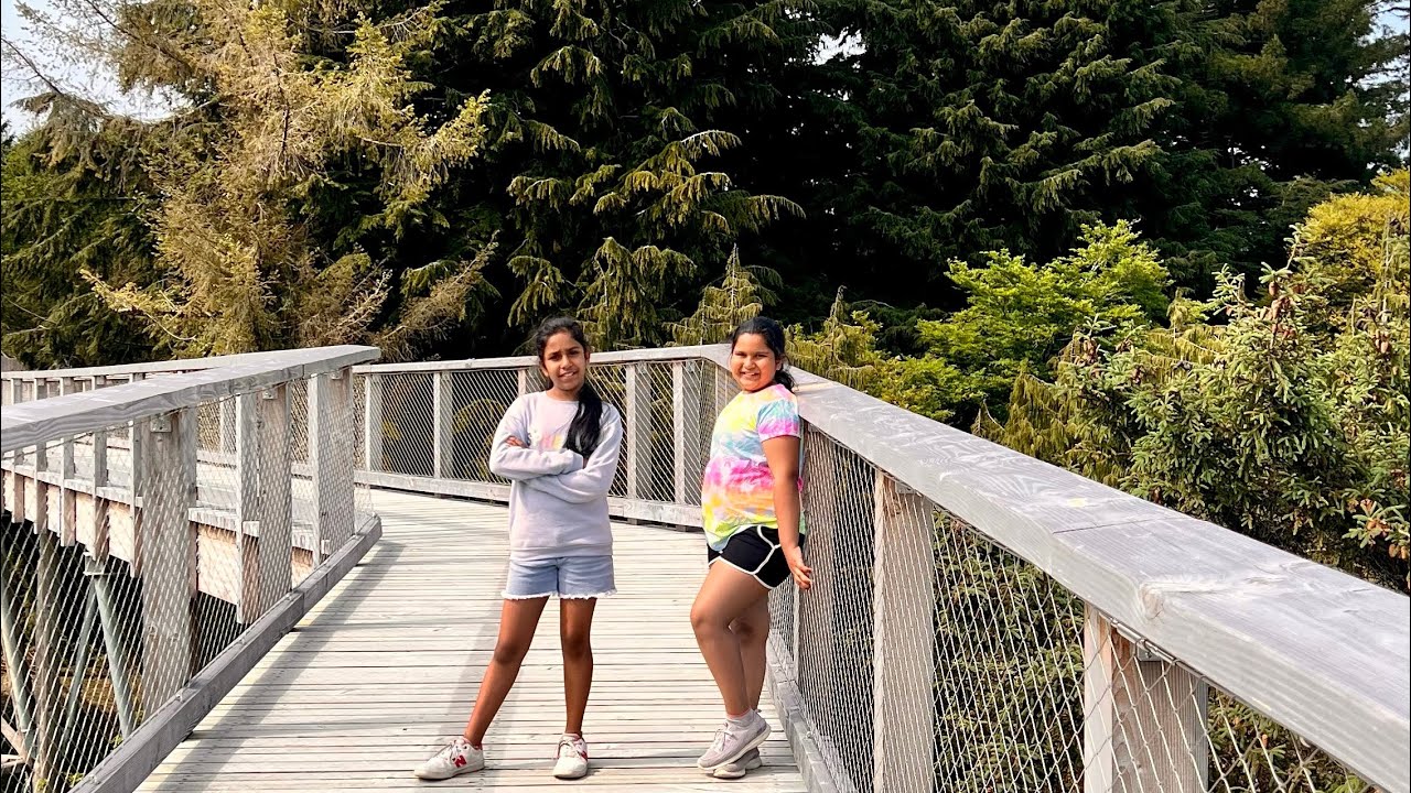 Avondale Treetop walk# Ireland - YouTube