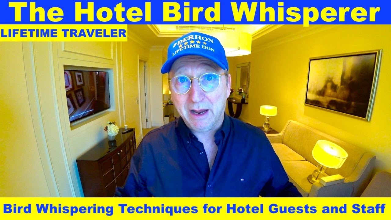 The Hotel Bird Whisperer (Bird Whispering Techniques for Hotel Guests ...