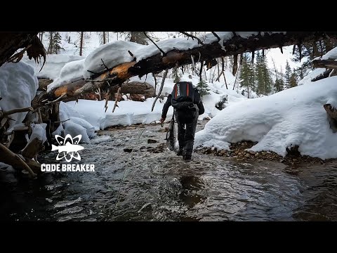 Late Spring Fly Fishing Snowshoe Adventure! Dry Flies on a Euro Rig??? - Code Breaker Angler ...