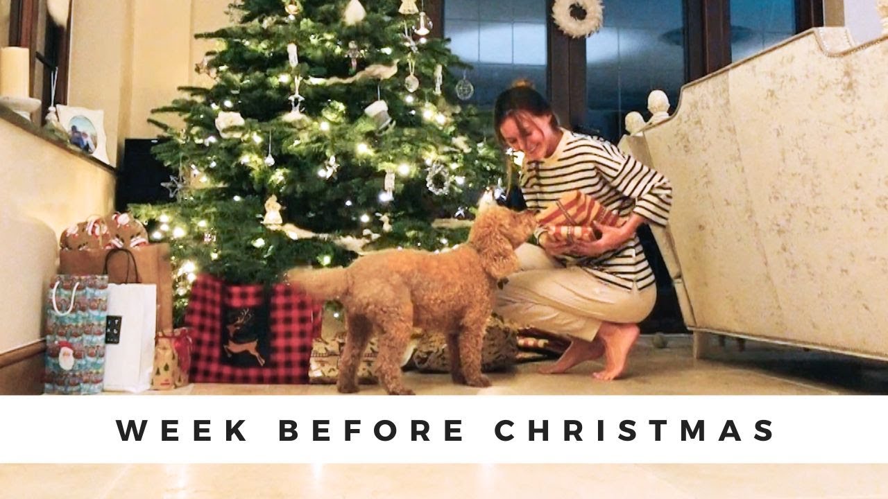 The Week Before Christmas - YouTube