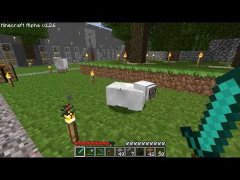 Minecraft: Baa baa, black sheep, have you any wool?