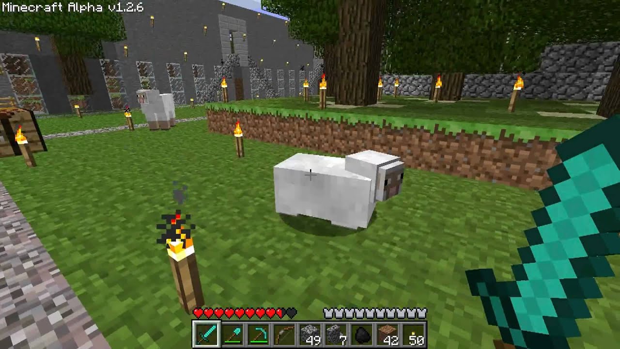 Minecraft Black Sheep