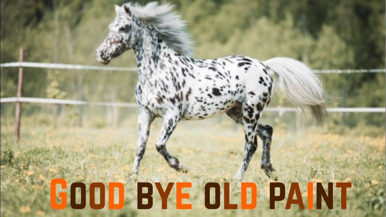 Goodbye Old Paint (piano) - YouTube