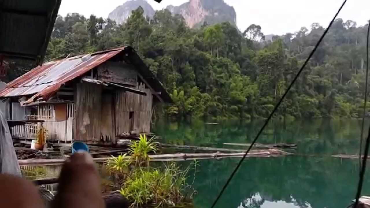 เลี้ยงปลาเขื่อนหลากชนิดในกระชังตามธรรมชาติ Fish farming in Dam - YouTube